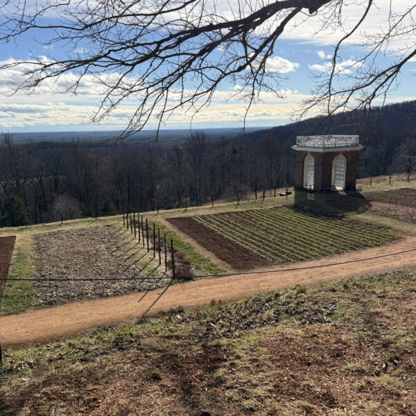 Thomas Jefferson's Monticello Tour | Monumental Tours