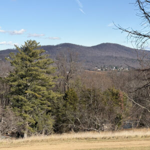 Thomas Jefferson's Monticello Tour | Monumental Tours